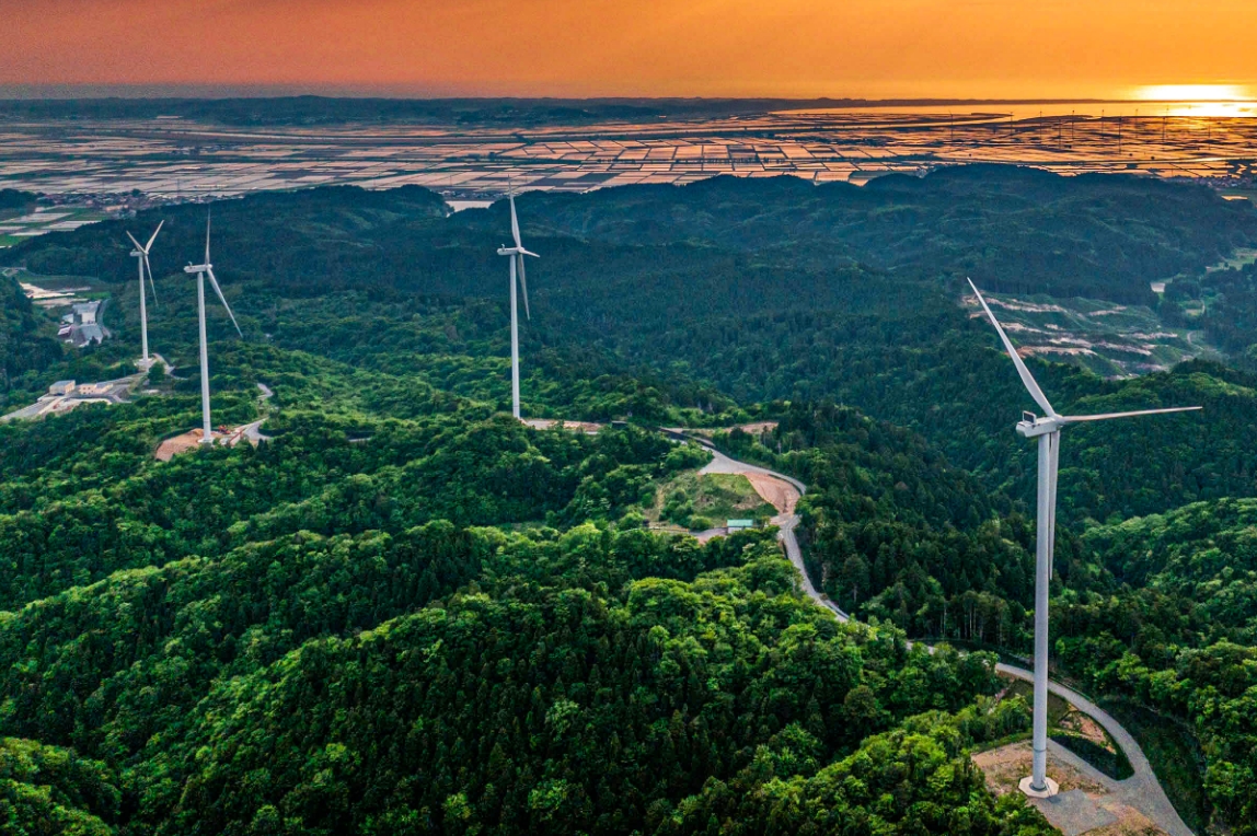 Firm & Dispatchable Power | Vena Energy