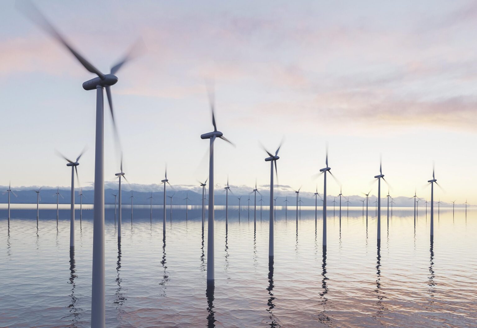 Vena Energy Unveils Blue Marlin Offshore Wind Project in Gippsland ...